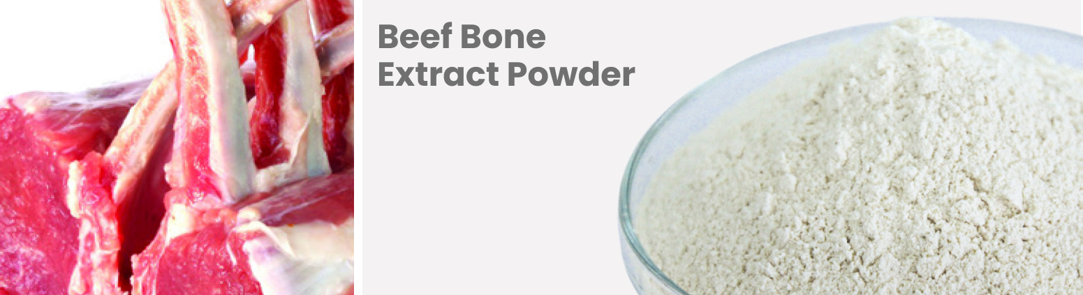 PT JINYOUNG - Your Best Partner In Food Industry