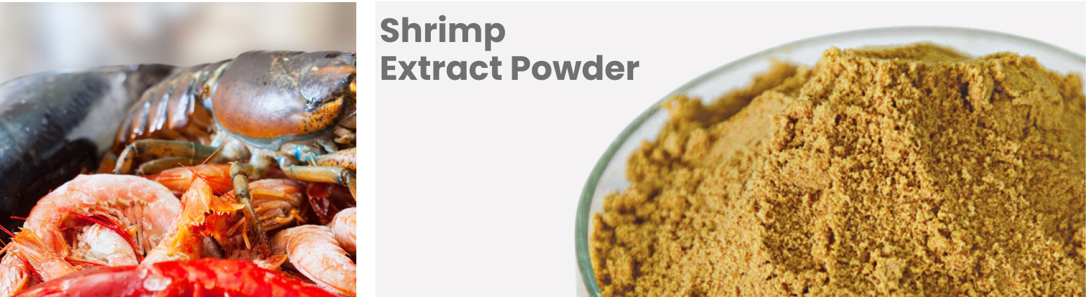 PT JINYOUNG - Your Best Partner In Food Industry